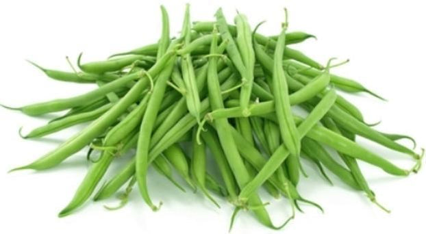Fresh Vegetables — Fresh Connection