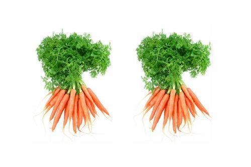 Shop All Specials — Fresh Connection