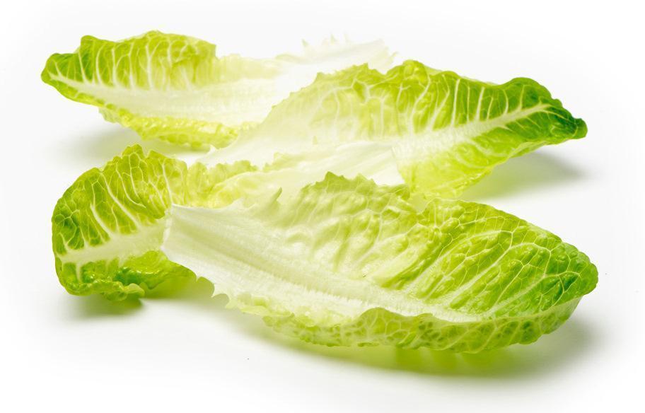 Cos Leaves (200g) — Fresh Connection