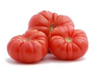 Tomatoes - Adelaide - 1kg — Fresh Connection